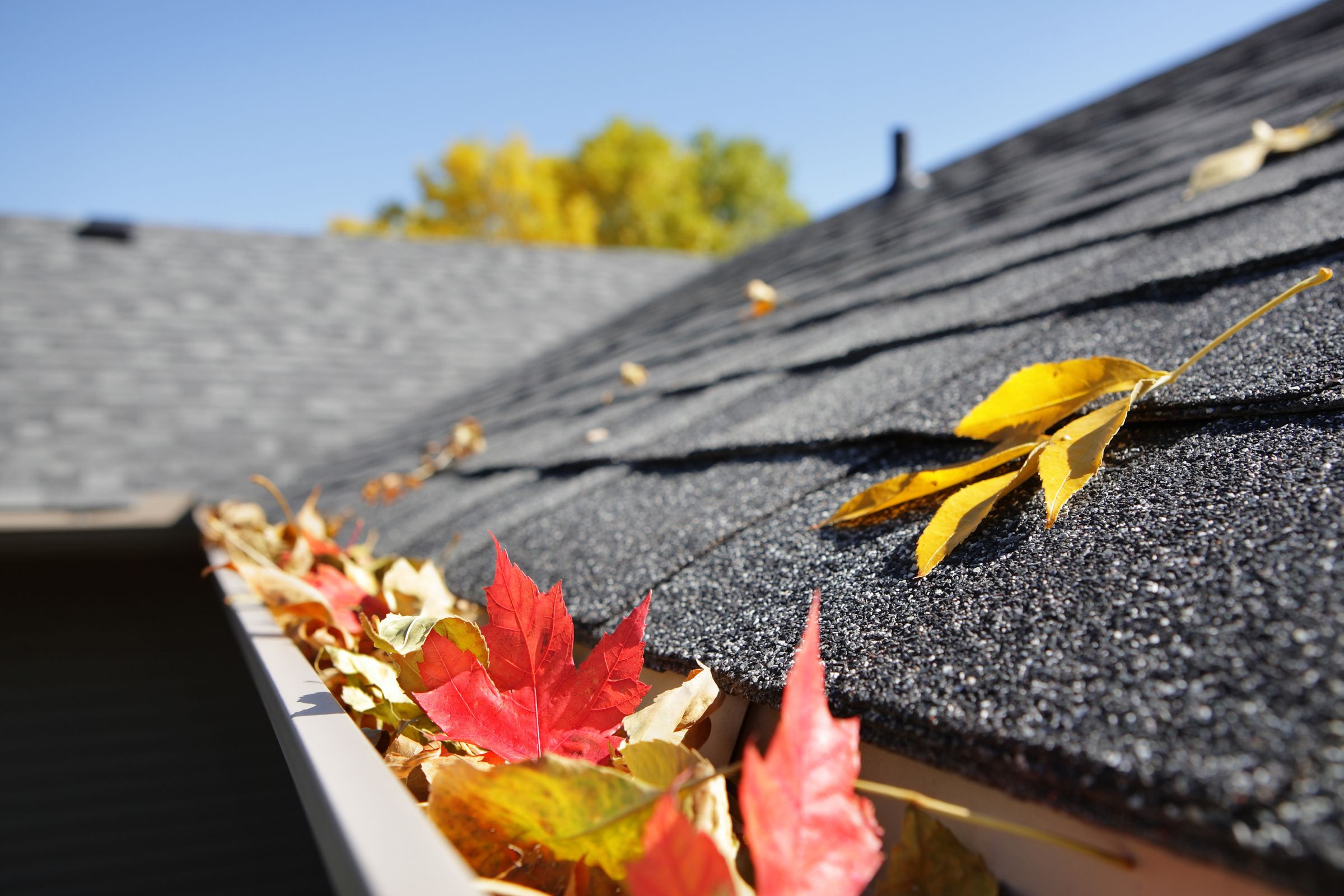 How Fall Weather Affects Your Roof—and What to Do About It - Badger ...